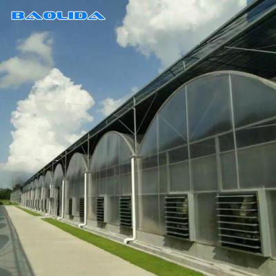 China Large Polycarbonate Film Greenhouse / Multi Span Greenhouse Multi Functional for sale