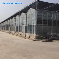 China Solar Polycarbonate Sheet Greenhouse / Agricultural PC Sheet Greenhouse for sale