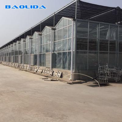 China Solar Polycarbonate Sheet Greenhouse / Agricultural PC Sheet Greenhouse for sale