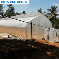 China Tropical Saw Tooth Polythene Grow Tunnel Roof Ventilation 200 Micron PE Film for sale