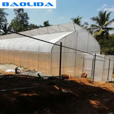 China Tropical Saw Tooth Polythene Grow Tunnel Roof Ventilation 200 Micron PE Film for sale
