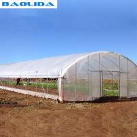 China Modern Tunnel Plastic Greenhouse For Tropical Climate Plastic Covering for sale