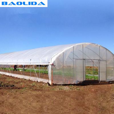 China Modern Tunnel Plastic Greenhouse For Tropical Climate Plastic Covering for sale