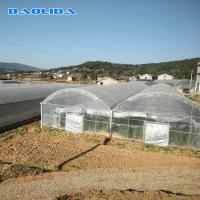 China Vegetable Growing Plastic Tunnel Greenhouse Ultraviolet Proof for sale