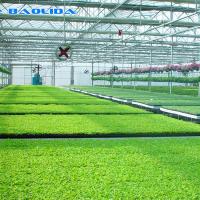 China Vegetable Growing Tunnel Multi Span Greenhouse Plastic Film Material for sale