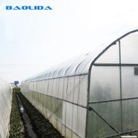 China 150micron 200 micro PE Film Agricultural Greenhouse For Vegetable Fruit Growing for sale