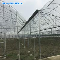 China Multispan Plastic Film Greenhouse With Drip Irrigation System Plant Nursery Grow Tent for sale