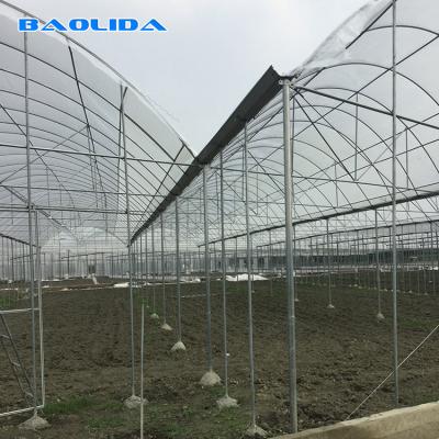 China Multispan Plastic Film Greenhouse With Drip Irrigation System Plant Nursery Grow Tent for sale