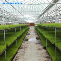 China Plastic Transparent Multi Span Greenhouse Agriculture Side Window Support for sale