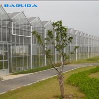 China Commercial Blackout Polycarbnote Sheet Greenhouse Customized Eco Friendly for sale