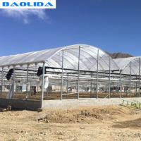 China Commercial Blackout Polycarbnote Sheet Greenhouse Customized Eco Friendly for sale