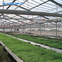 China Commercial Blackout Polycarbnote Sheet Greenhouse Customized Eco Friendly for sale