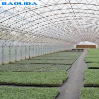 China Strong Double Arches Tunnel House Plastic Transparent Fend Off Wind And Snow for sale