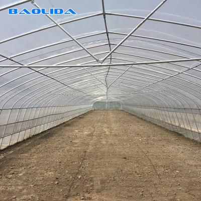 China 200 Micron Greenhouse Plastic / Pep Film Single Span Solar Tunnel Plastic Greenhouse for sale