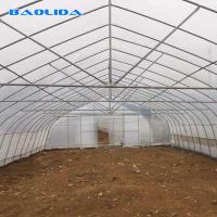 China Strong Packing Polytunnel Greenhouse Hobby Commercial Agricultural Support for sale