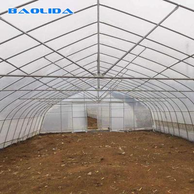China Strong Packing Polytunnel Greenhouse Hobby Commercial Agricultural Support for sale