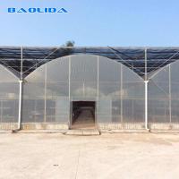 China Clear Multi Span Greenhouse Hot Dip Galvanized Pipe Size Customized for sale