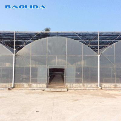 China Clear Multi Span Greenhouse Hot Dip Galvanized Pipe Size Customized for sale