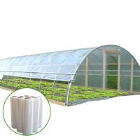 China Vegetable Growing Plastic Film Greenhouse / Tunnel Single Span Greenhouse for sale