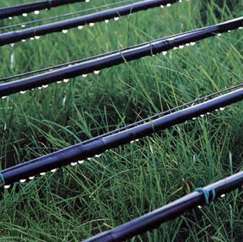 China Agricultural Equipment Greenhouse Irrigation System For Vegetables Diy for sale
