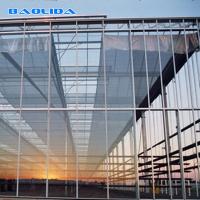 China Commercial Glass Covered Venlo Style Greenhouse Anti Corrosion for sale