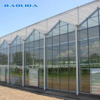 China Commercial Glass Covered Venlo Style Greenhouse Anti Corrosion for sale