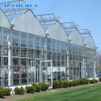 China Commercial Glass Covered Venlo Style Greenhouse Anti Corrosion for sale