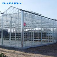 China Commercial Glass Covered Venlo Style Greenhouse Anti Corrosion for sale