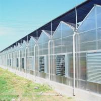 China Agricultural Transparent Venlo Type Greenhouse For Fruits Flowers for sale