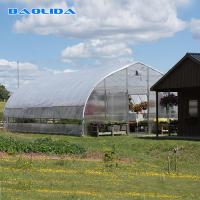 China Single Span Plastic Film Tunnel Greenhouse Anti Corrosion Vegetable Growing for sale