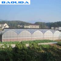 China 200 Micron PE Film Multi Span Greenhouse Structure / Polyethylene Foil Greenhouse for sale