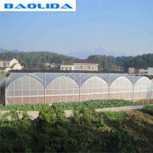 China 200 Micron PE Film Multi Span Greenhouse Structure / Polyethylene Foil Greenhouse for sale