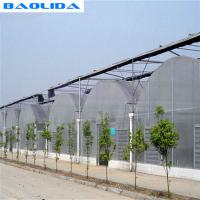China Long Life Span Heavy Duty Plastic Greenhouse High Large Size Available for sale