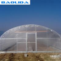 China Custom Good Stability Tunnel Plastic Greenhouse With Metal Greenhouse Frame for sale