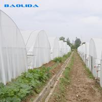 China Single Span Plastic Film Tunnel Greenhouse Anti Corrosion Vegetable Growing for sale