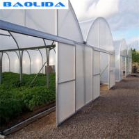 China Agriculture Planting Plastic Sheeting Large Scale Steel Frame Greenhouse Multi Span Greenhouse for sale