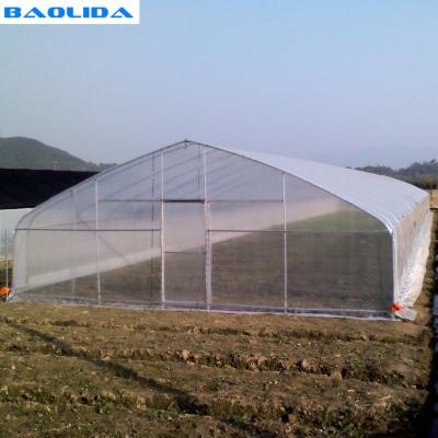 China Single Span Plastic Film Tunnel Greenhouse Anti Corrosion Vegetable Growing for sale