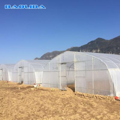 China Simplest Structure Hot Dip Galvanized Steel 4m Tunnel Plastic Greenhouse For Plants Growing for sale