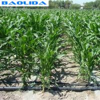 China Agriculture Plants Growing Watering Saving Drip Watering System For Greenhouse for sale