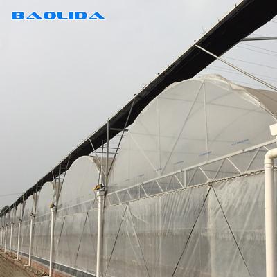 China 200 Micron Film Tomato Growing Plastic Tunnel Greenhouse Multi Span Greenhouse for sale