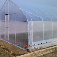 China Hot Dip Galvanized Steel 4m Single SpanWaterproof Film Cover 9m Tunnel Plastic Greenhouse for sale