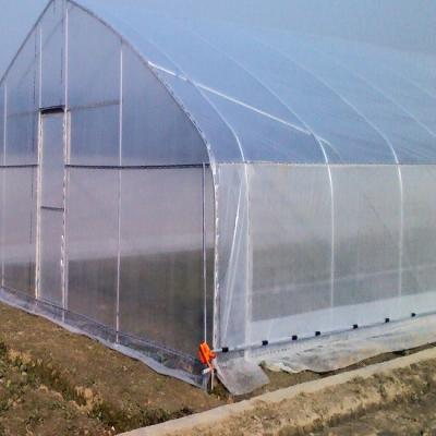 China Hot Dip Galvanized Steel 4m Single SpanWaterproof Film Cover 9m Tunnel Plastic Greenhouse for sale