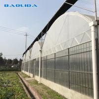 China Negative Fan Cooling System Climate Control 60m Tunnel Multi Span Greenhouse for sale