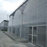 China Agriculture Natural Ventilation Greenhouse Temperature Control Multi Span Greenhouse for sale