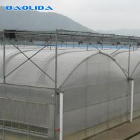 China Transparent Glass Tunnel Multispan Greenhouse Plant Cultivation for sale