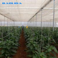China Automatic Control Polyethylene Film UV Protection Multi Span Greenhouse For Plants Growing for sale