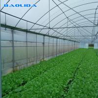 China Automatic Control Polyethylene Film UV Protection Multi Span Greenhouse For Plants Growing for sale