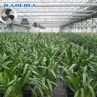 China Automatic Control Polyethylene Film UV Protection Multi Span Greenhouse For Plants Growing for sale