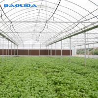 China Transparent Glass Tunnel Multispan Greenhouse Plant Cultivation for sale