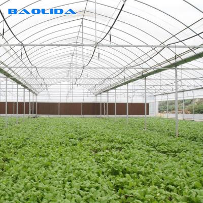 China Transparent Glass Tunnel Multispan Greenhouse Plant Cultivation for sale